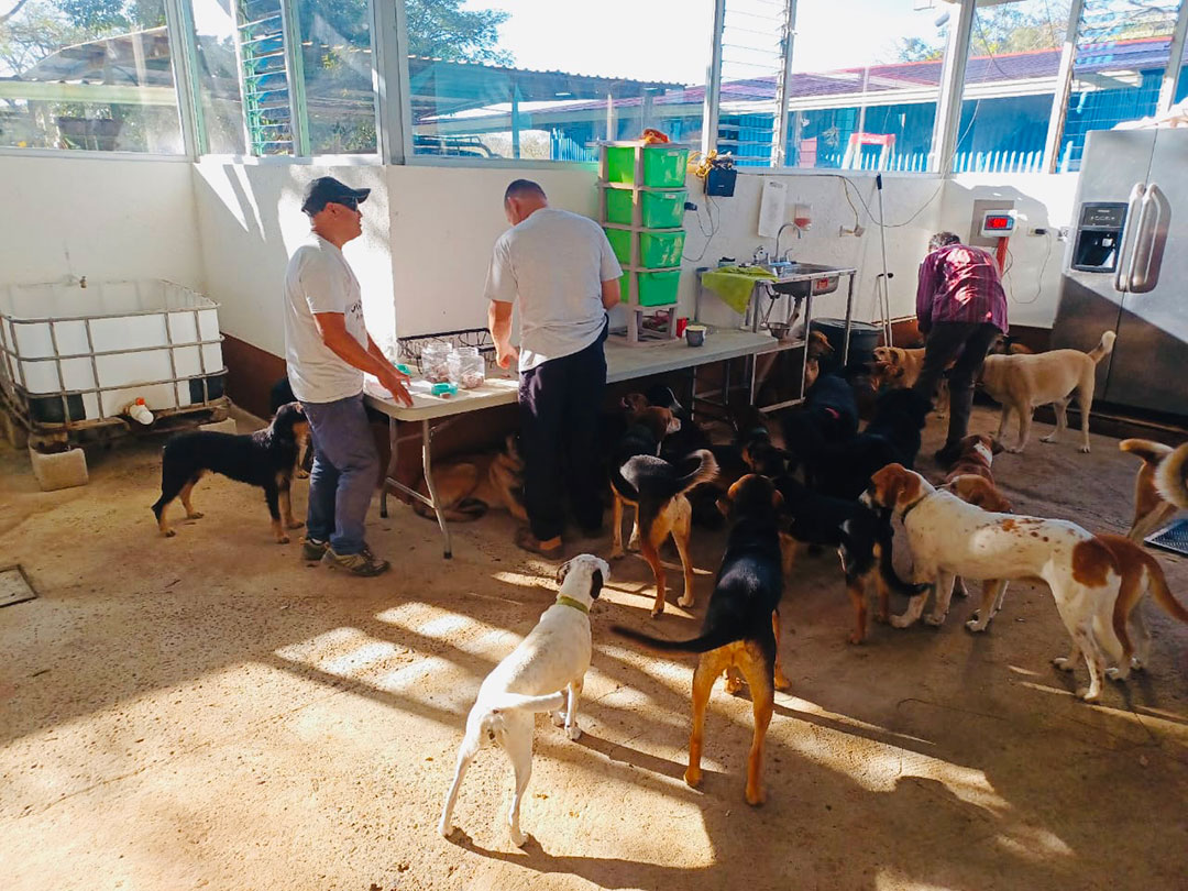 Educational Resources – Guayabo Animal Rescue